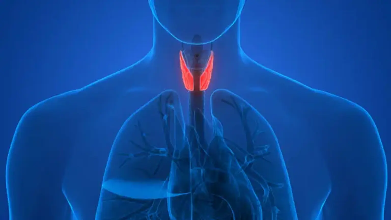 Endocrinology and Metabolism