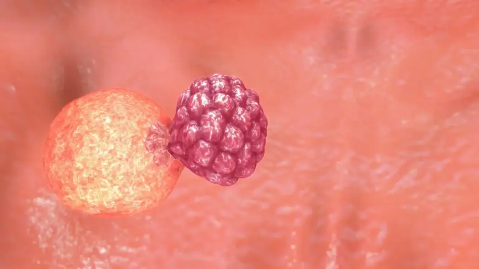 Assisted Hatching for Embryo Implantation
