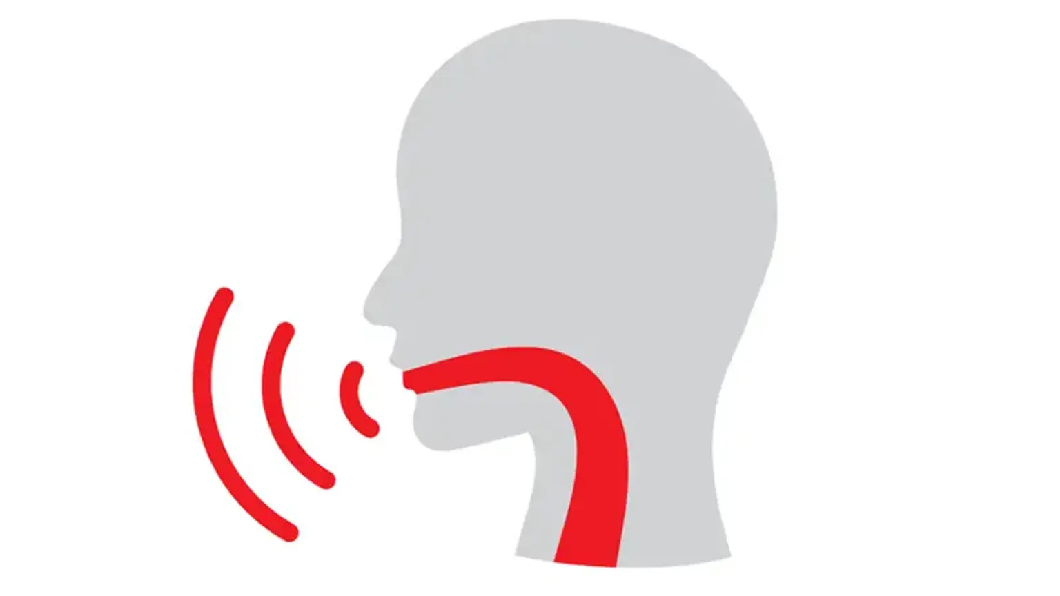 voice