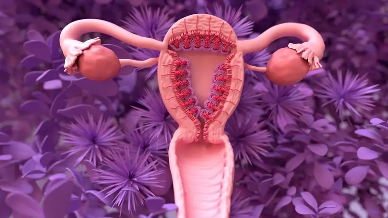Why Labiaplasty in Gangnam Is a Key Investment in Your Comfort and ...