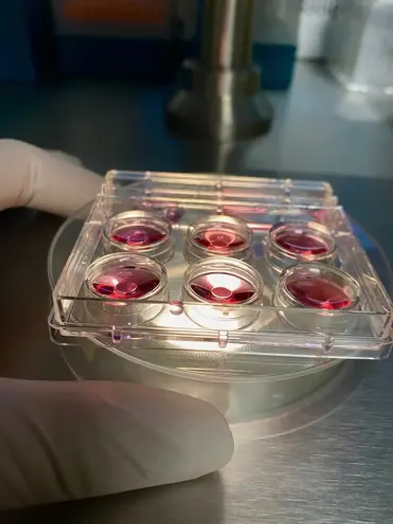 Embryo Thawing Services