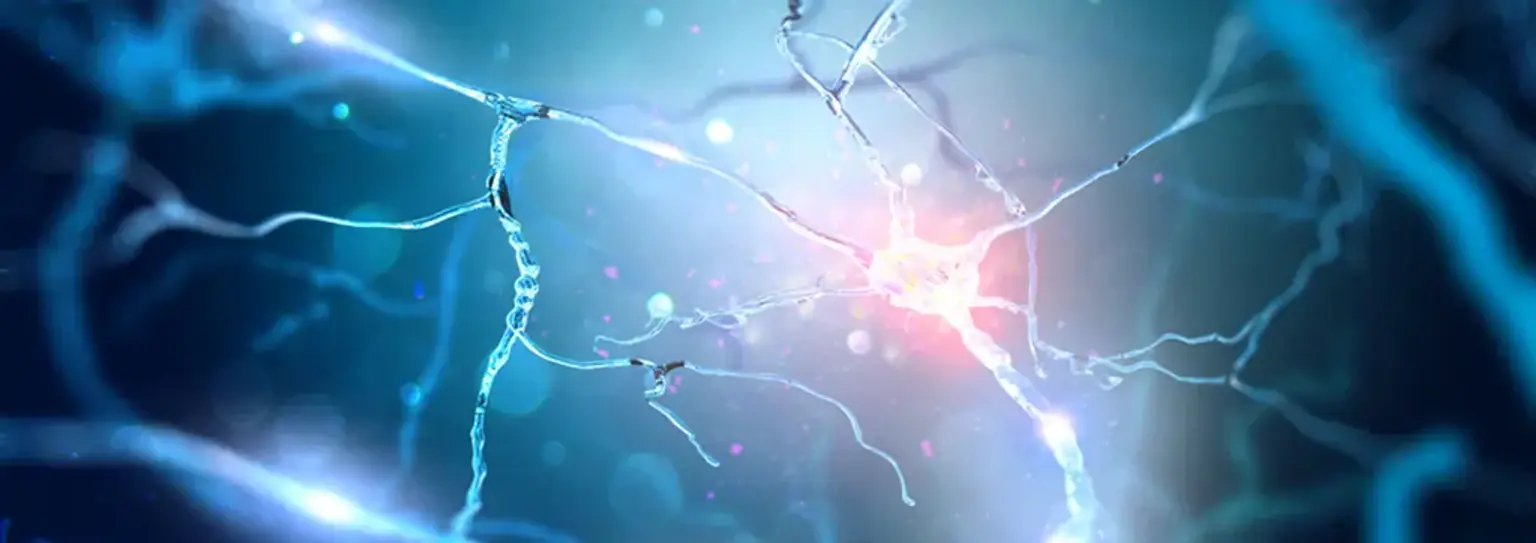 Agnosia: A Complete Guide to Causes, Symptoms, and Treatment