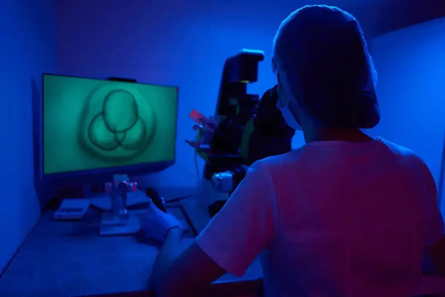 Embryo Storage Extension Services