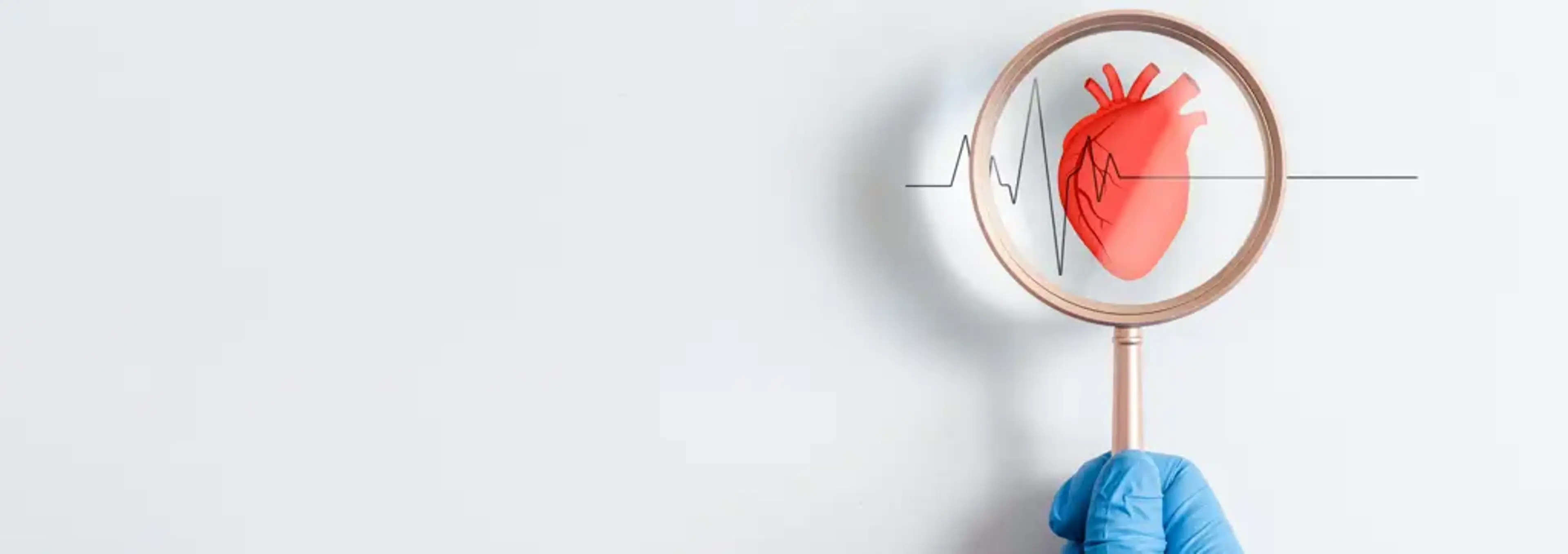 Articles | What an Echocardiogram Can Reveal About Your Heart